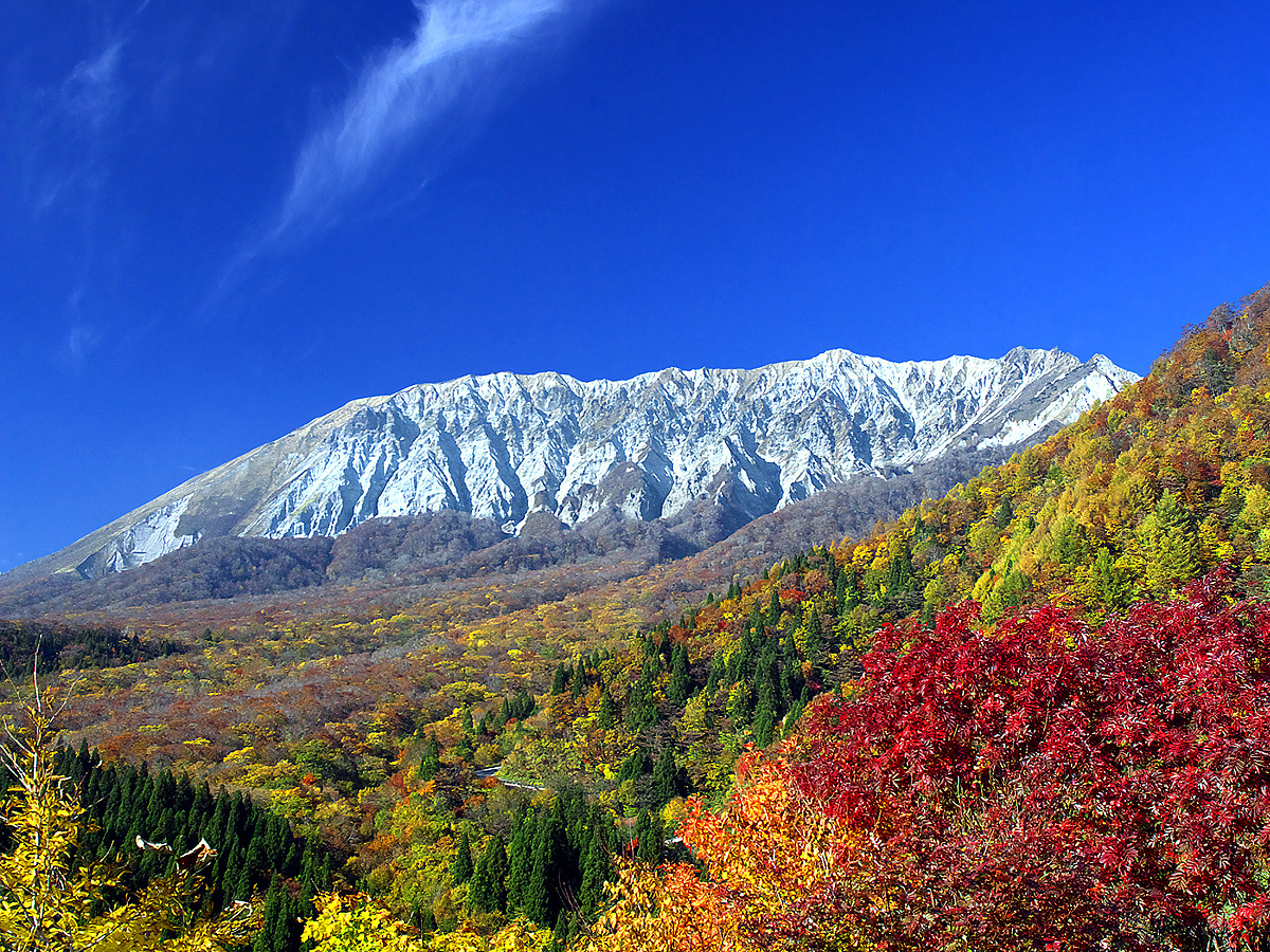 Mt. Daisen | CHUGOKU＋SHIKOKU×TOKYO (JAPAN)