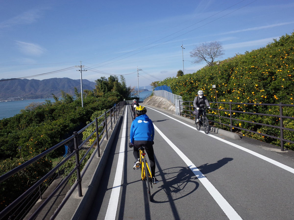 Shimanami Kaido Cycling | CHUGOKU＋SHIKOKU×TOKYO (JAPAN)