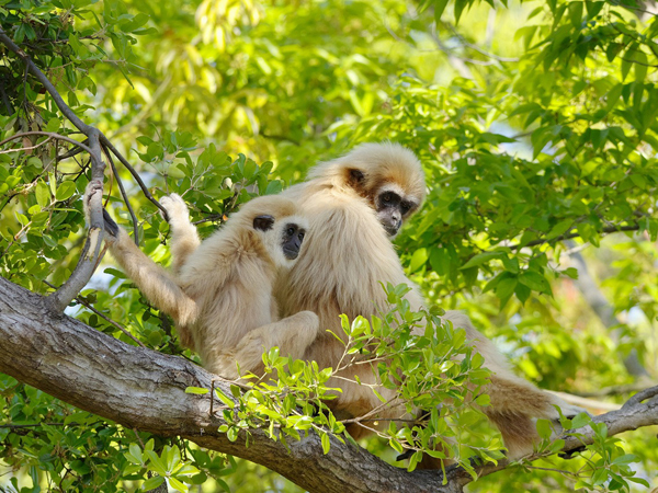 Tokiwa Park | CHUGOKU＋SHIKOKU×TOKYO (JAPAN)